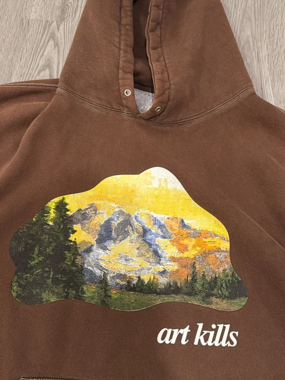 anthem moments | Shirts | Brown Graphic Mountain Hoodie With Art Kills ...